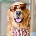 B R I N K L E Y, - | Keepface