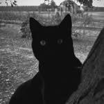 TYLER ROSENFELD, - United States | Keepface