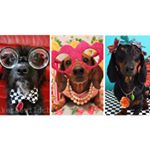 Cherry Pie, Spike, & RIP Lucy, - | Keepface