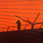 Igor Nesterov Khabarovsk, Food - | Keepface