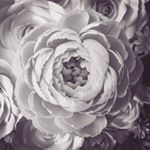 MoniquePaperArt, Art / Design - Spain | Keepface