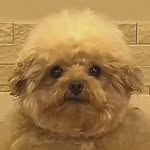 Kailee Morgue, Music - | Keepface