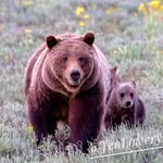 Jen Lowery, Photography - | Keepface