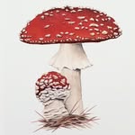 Life Science Studios, - | Keepface