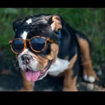 Midswook, Art / Design - | Keepface