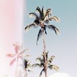 Z E N I S L A N D, - | Keepface