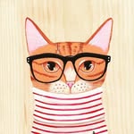 Belinha - Gateiras do Brasil, - | Keepface