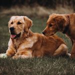 kipandkaan, Photography - Canada | Keepface