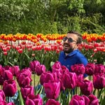 Max Maxwell, - Jamaica | Keepface