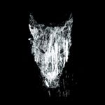 Black Dog Films, Fashion - | Keepface