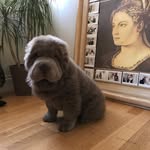 United Kingdom | Keepface