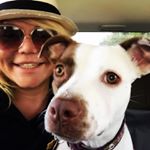 dogscallmegina, Animals - Turkey | Keepface