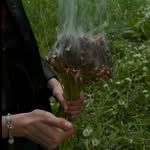 Juliette, Food - Australia | Keepface