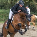 Camilla Høyer Rasmussen, Animals - Denmark | Keepface