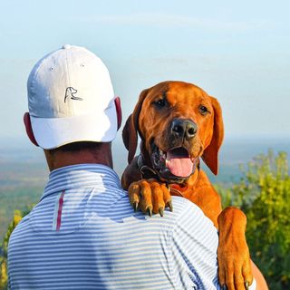 rhoback, - United States | Keepface