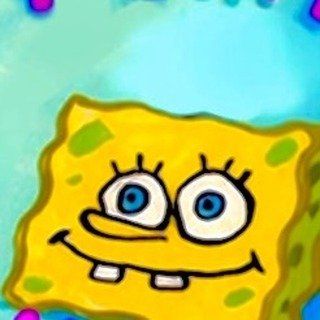 하타비스, Model - Korea, Republic of | Keepface