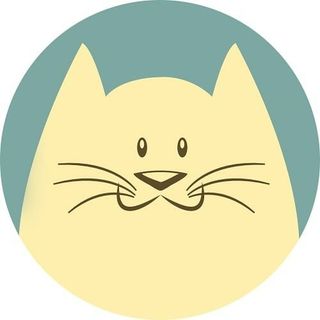 Gatolândia Cat Resort, Animals - Brazil | Keepface