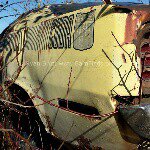 Ryan Brutt, - | Keepface