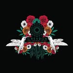 C H E V R O N, - Egypt | Keepface