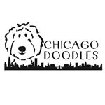 Chicago Doodles, - | Keepface