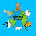 Kittens Cats Planet 🌎😻, Animals - | Keepface
