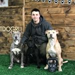 Владимир Алмазов, Animals - Russian Federation | Keepface