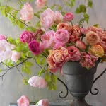 Fionnuala Fallon, Home / Garden - | Keepface