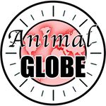 Awesome Animal World, Animals - | Keepface