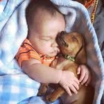 👑animal lover👑, Animals - | Keepface