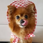 💕 Coco 💕 🐶, - | Keepface