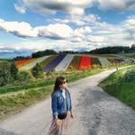 👉MRS EILEEN TOH 🌻( 卓太太）, Food - | Keepface