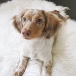 e l l i e , - | Keepface