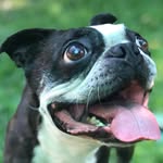 Kevin Lewis, Cinema - | Keepface