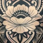 Leah Borkenhagen, Animals - | Keepface