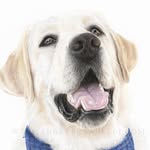 Sonny Ray 🐾, - Australia | Keepface