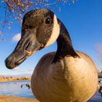 Travis Harper, - | Keepface