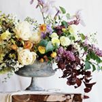 Travis J Studio, - | Keepface