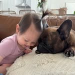 Truffles The Frenchie, Animals - | Keepface